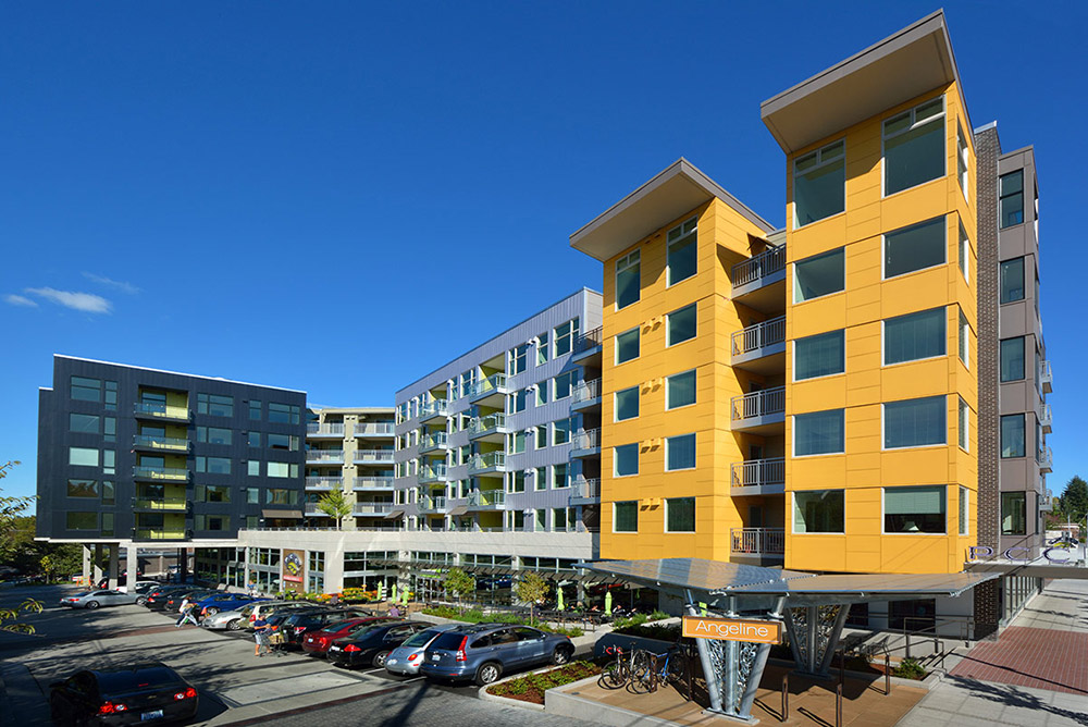 Angeline - Bumgardner